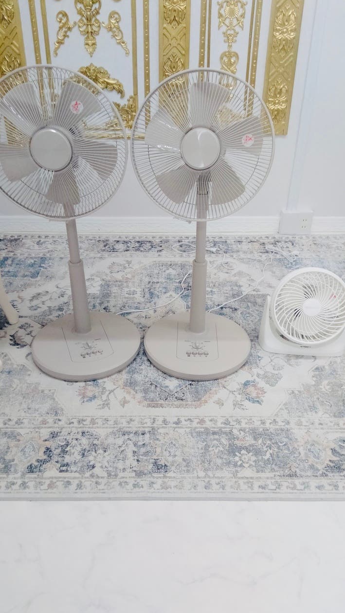 東銀座徒歩1分/白ゴシック/黒ゴシック/フラワーガーデン/撮影スタジオの写真23