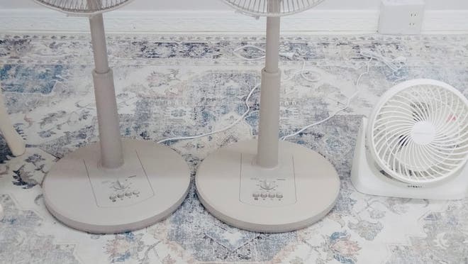 東銀座徒歩1分/白ゴシック/黒ゴシック/フラワーガーデン/撮影スタジオの写真23