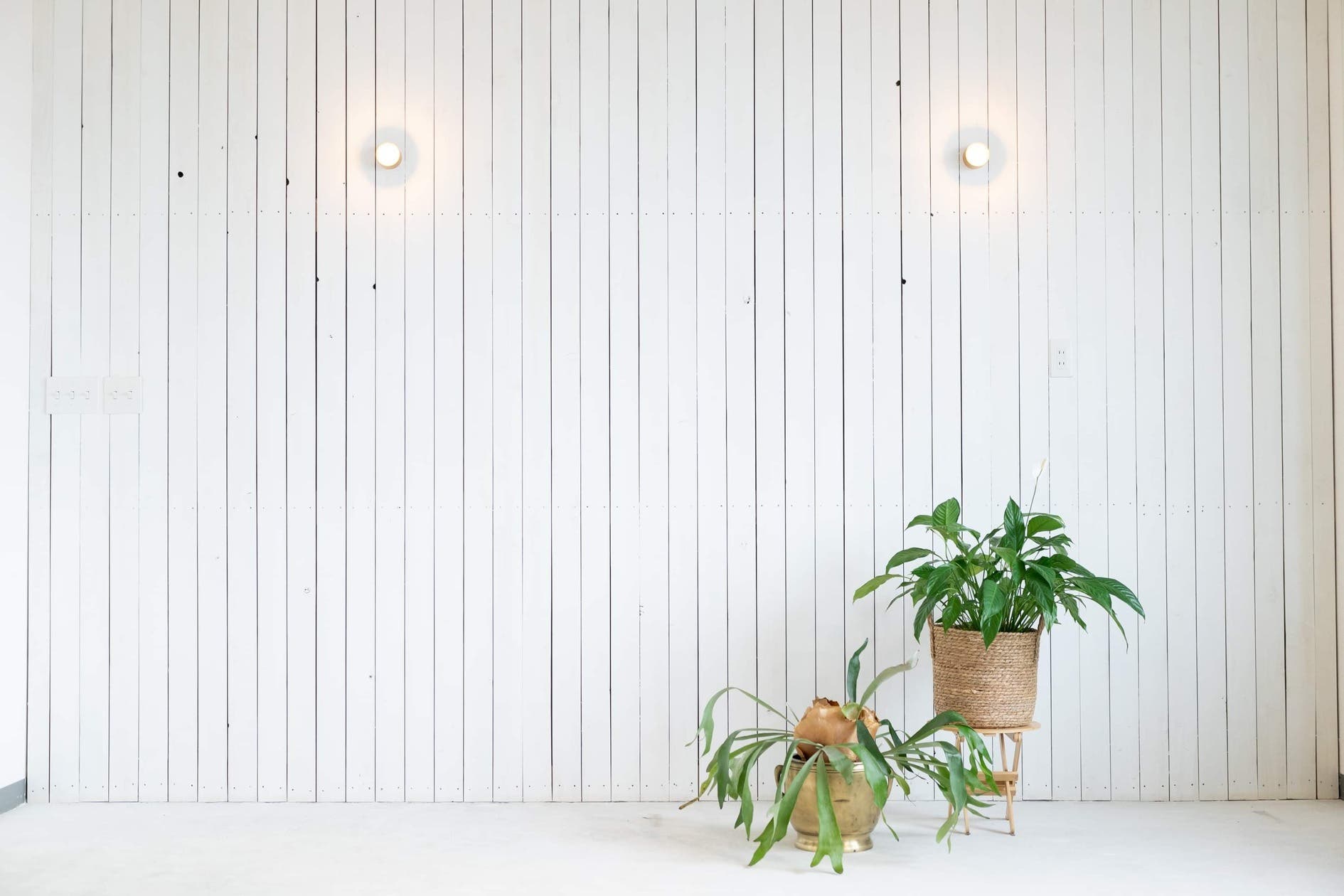 小田急線富水駅から徒歩８分！　ママ会🎀や撮影会📷にも大人気！！　ナチュラルインテリアのレンタルスペース🌿✨の写真2