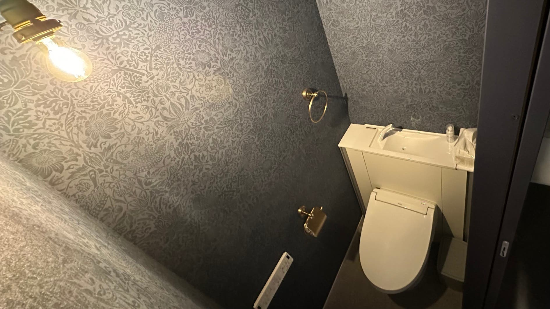 【🐶川越駅近郊ドッグラン🐶】《⭐️約20m特大屋上テラス🌟貸切‼️》ドッグラン🐶撮影🎥駐車場あり🚗ペット可🐶の写真8