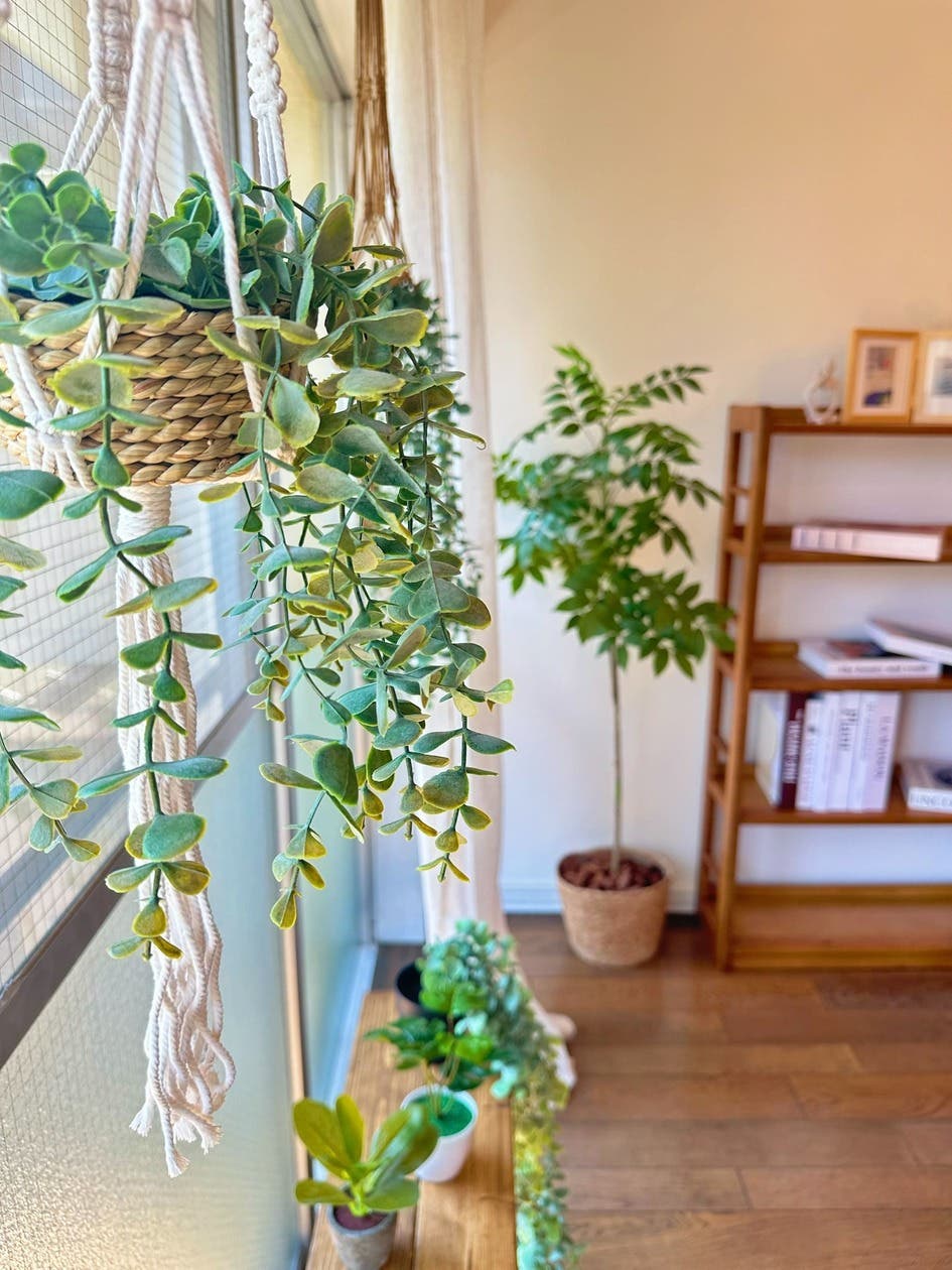 原宿駅徒歩5分/平成レトロ/団地リノベ/デザイナーズインテリア/自然光/2面採光/ベランダの写真19