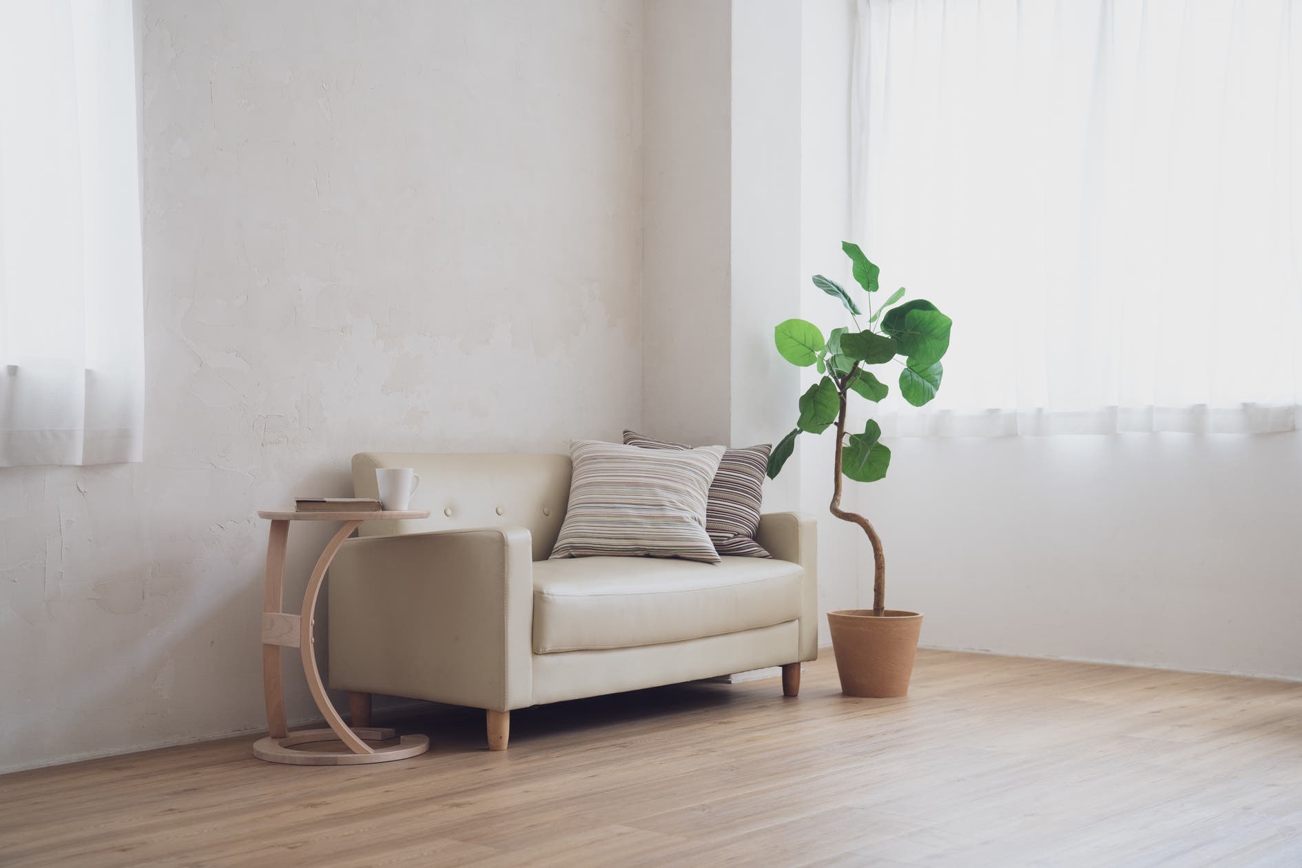 靱公園前・自然光がたくさん入るハウススタジオ 【STUDIO1】の写真4