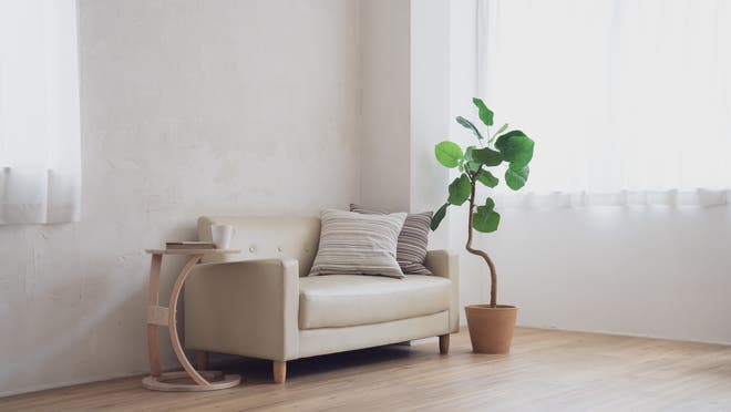 靱公園前・自然光がたくさん入るハウススタジオ 【STUDIO1】の写真4