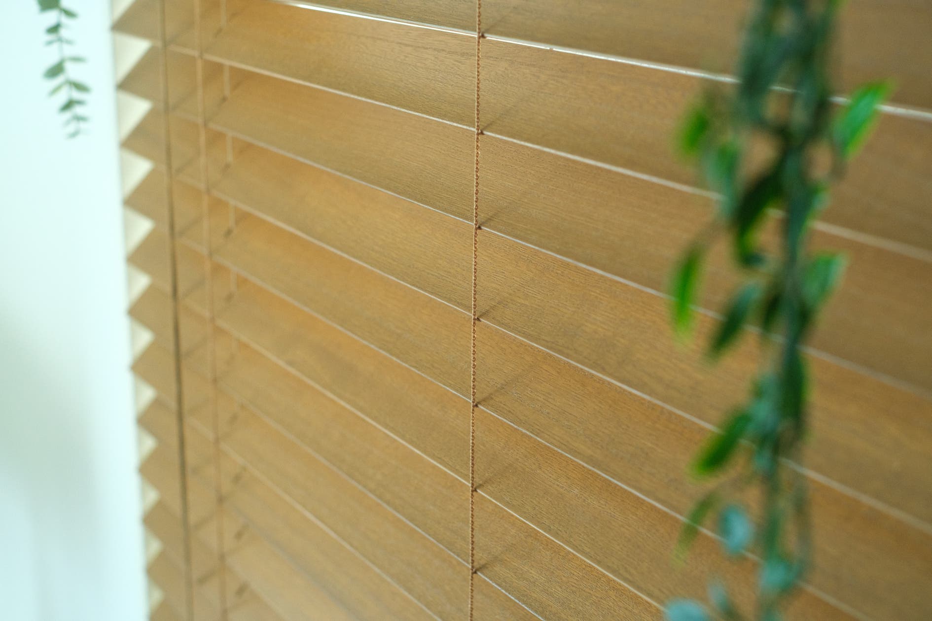 神保町徒歩3分✨️ごみ捨て可！学割あり！SNS映えで推し会や撮影に🫧🎥 法人懇親会・研修にも🍷コンロ3口🍳の写真10