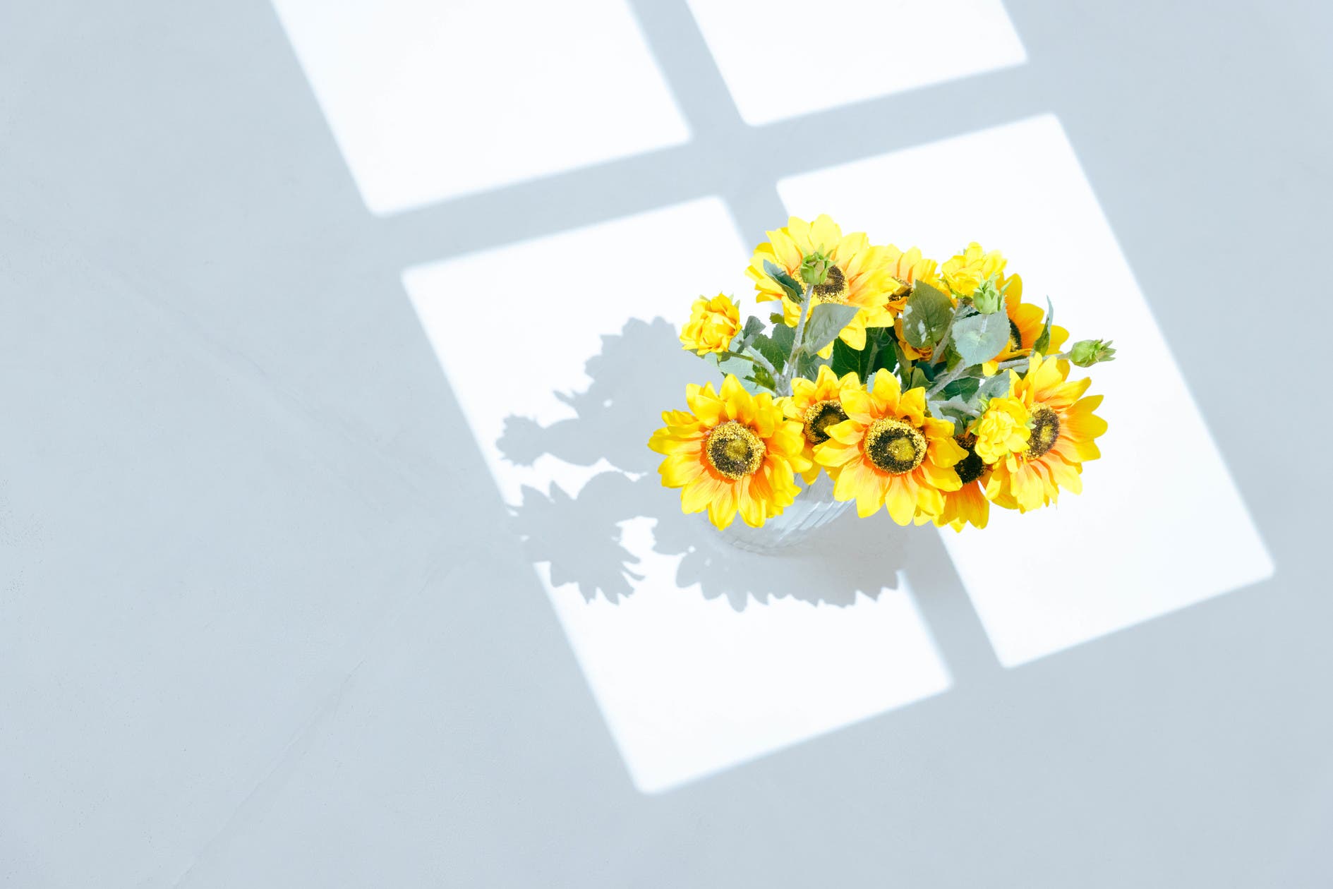 【新宿区】格安！白ホリ撮影スタジオ｜天地R構造｜NANLITEなどLEDライト多数｜人物撮影｜モデル撮影｜コスプレ｜作品撮りの写真15