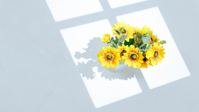 【新宿区】格安!白ホリ撮影スタジオ|天地R構造|NANLITEなどLEDライト多数|人物撮影|モデル撮影|コスプレ|作品撮りの写真15