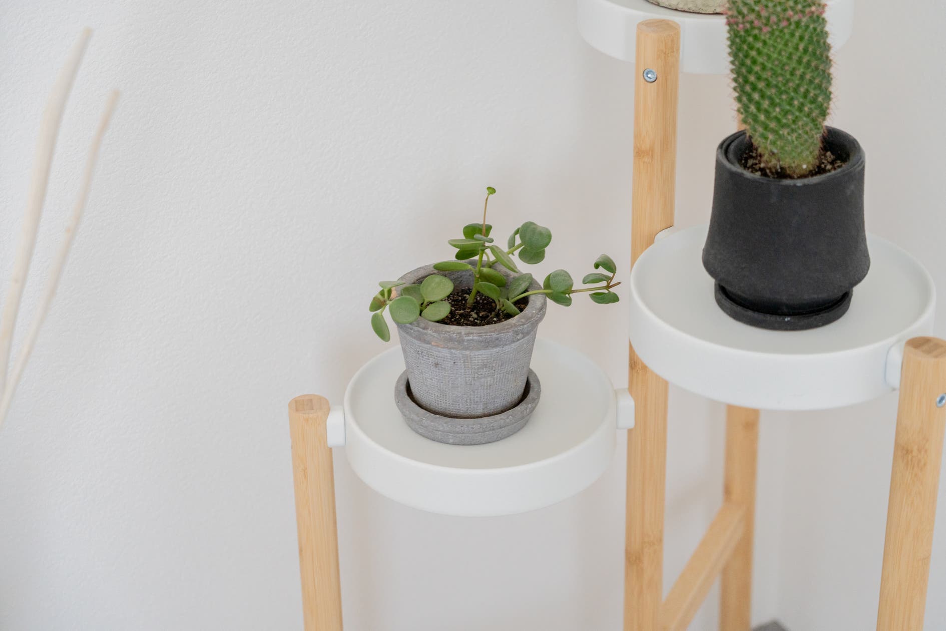 【スタジオI】ホワイトとアクセントのグレーに囲まれたスタイリッシュな空間、スタジオIの写真13