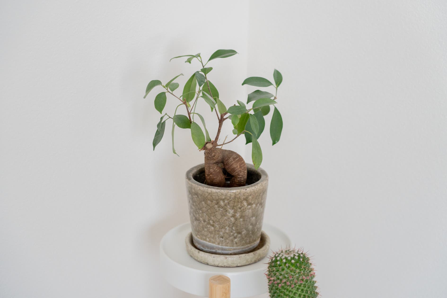 【スタジオI】ホワイトとアクセントのグレーに囲まれたスタイリッシュな空間、スタジオIの写真14