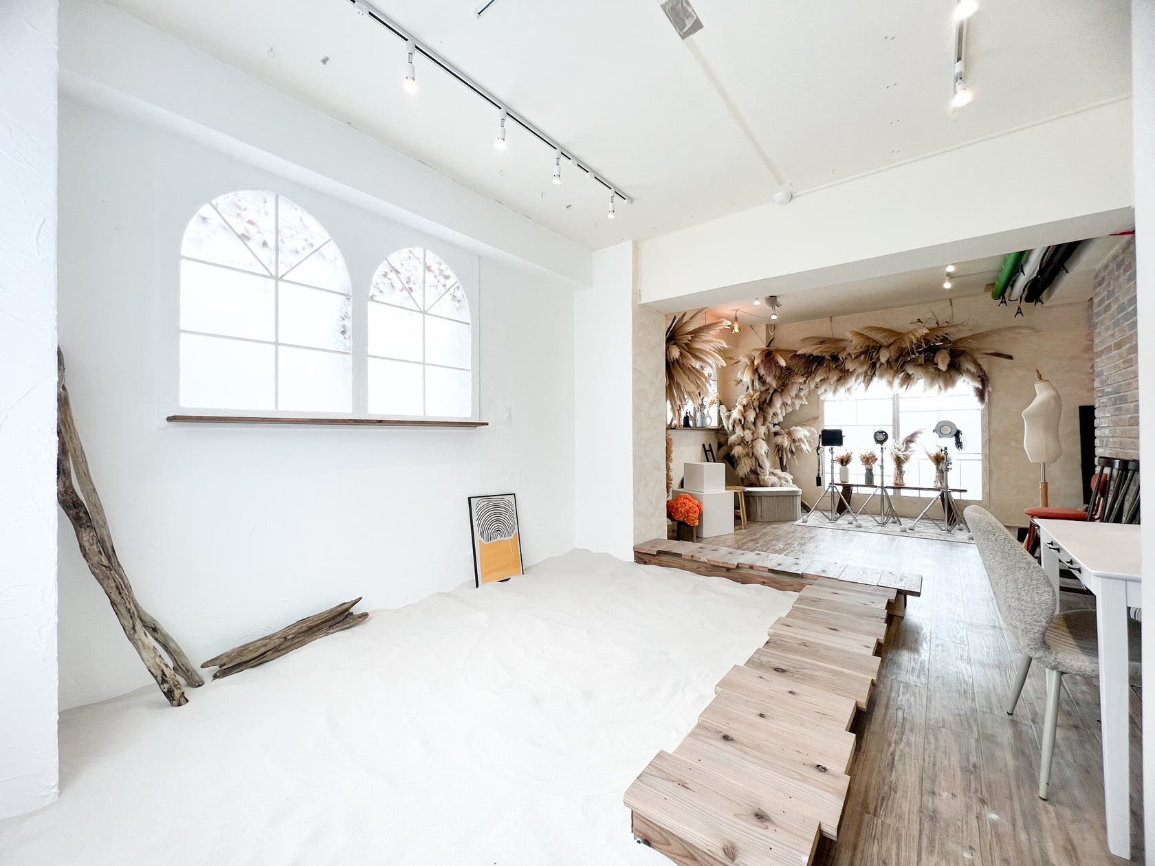 【2024ベストホスト運営】🍁リニューアル🍁 超巨大ドライフラワー｜砂浜｜自然光｜ペット撮影可｜機材無料の写真1