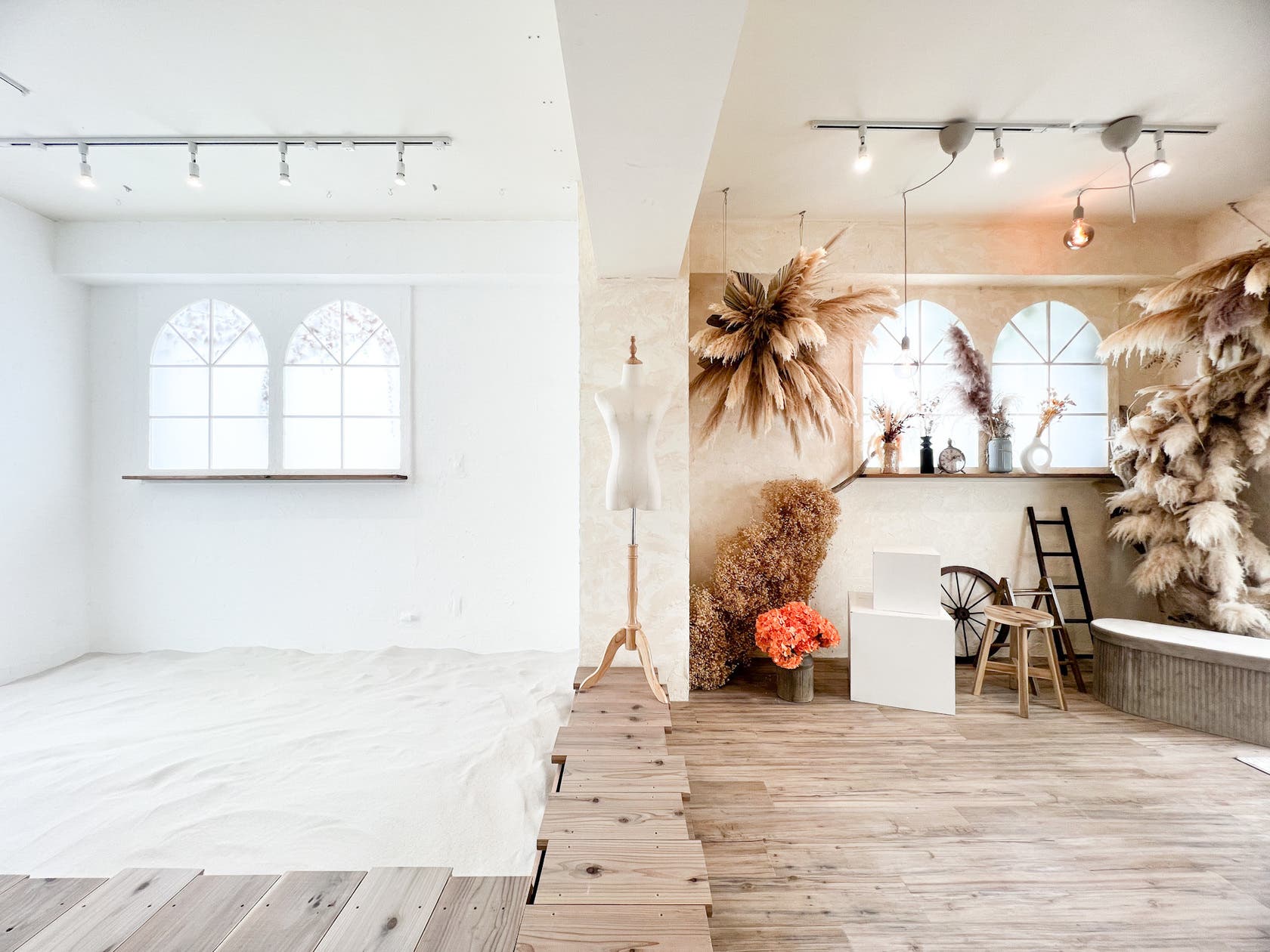 【2024ベストホスト運営】🍁リニューアル🍁 超巨大ドライフラワー｜砂浜｜自然光｜ペット撮影可｜機材無料の写真6