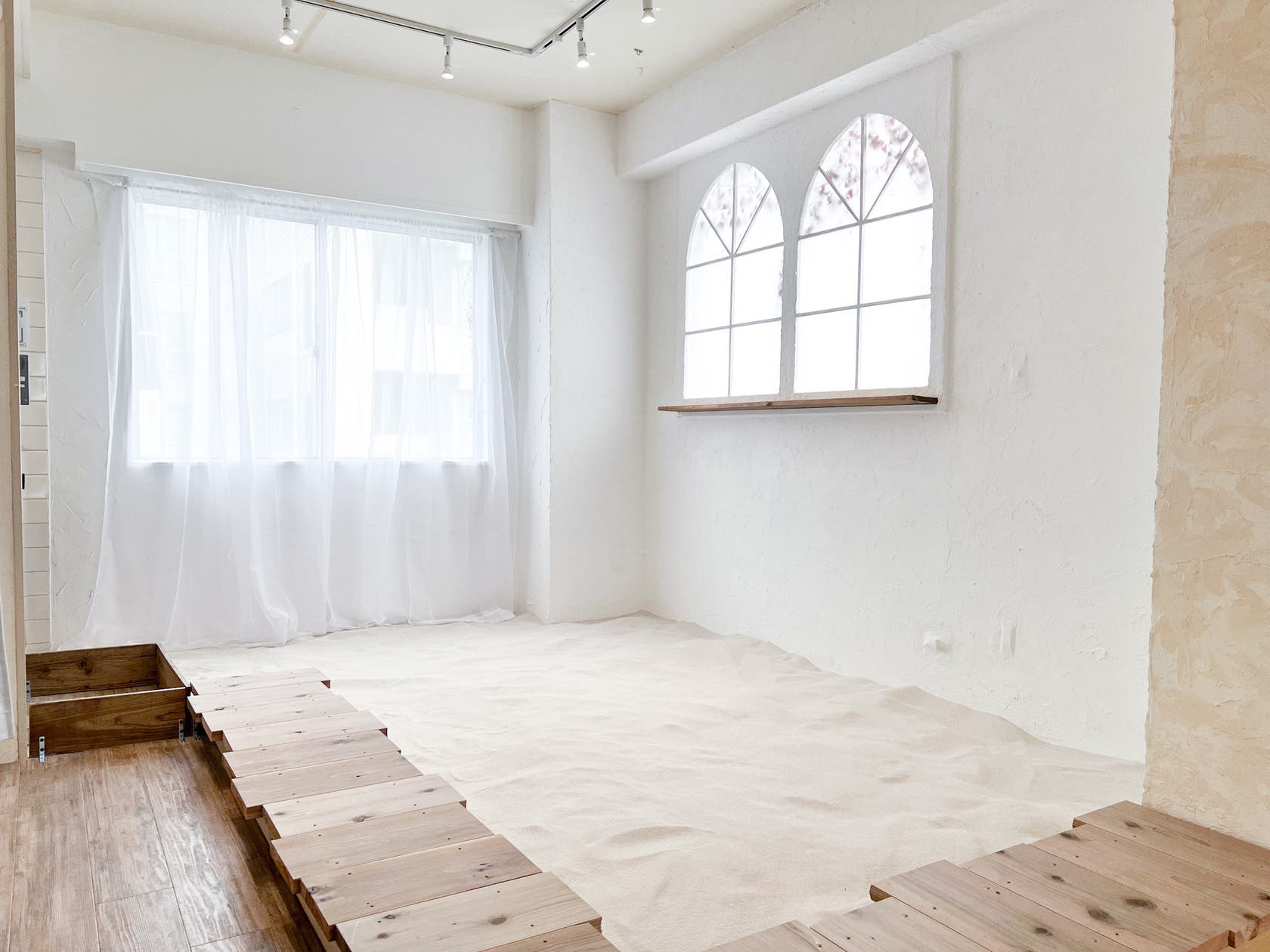 【2024ベストホスト運営】🍁リニューアル🍁 超巨大ドライフラワー｜砂浜｜自然光｜ペット撮影可｜機材無料の写真3