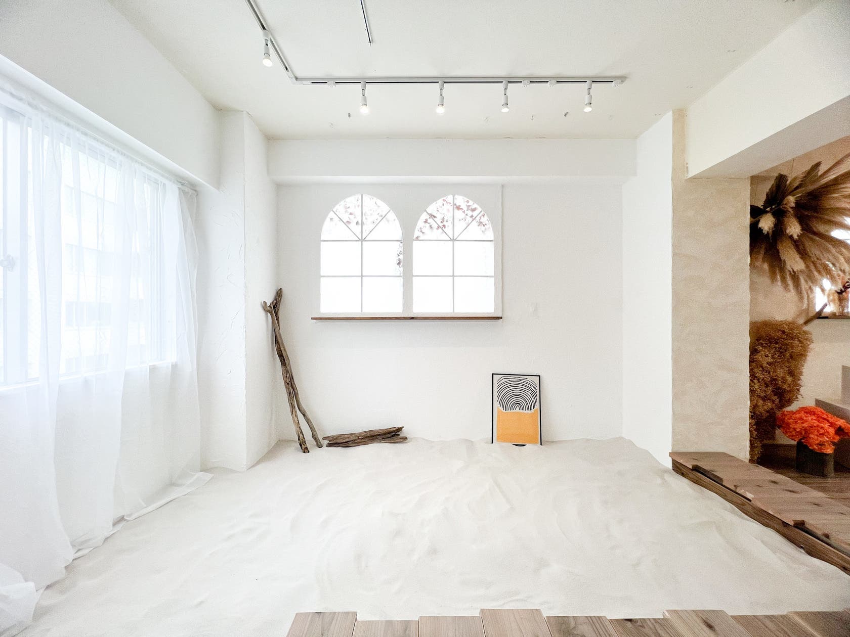 【2024ベストホスト運営】🍁リニューアル🍁 超巨大ドライフラワー｜砂浜｜自然光｜ペット撮影可｜機材無料の写真18