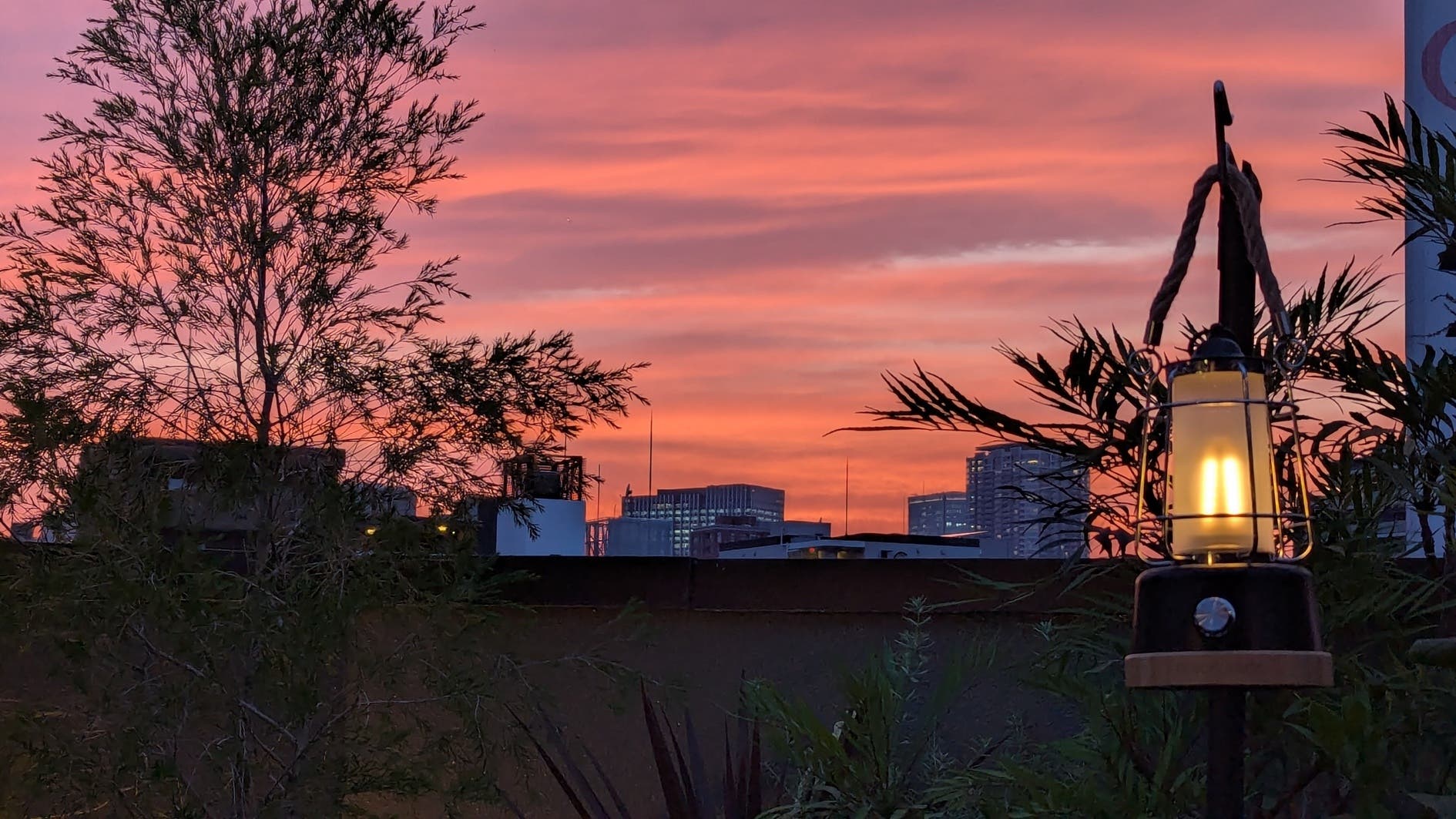 ゆっくり過ごす屋上貸切空間の写真5