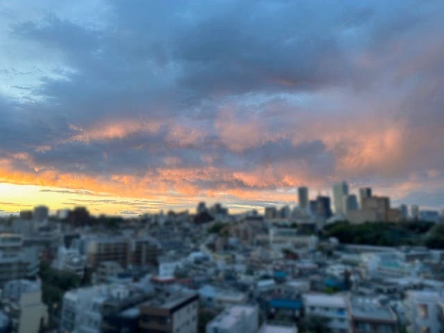 都電荒川線早稲田駅より徒歩2分の屋上スペース（360°の大眺望）の写真6