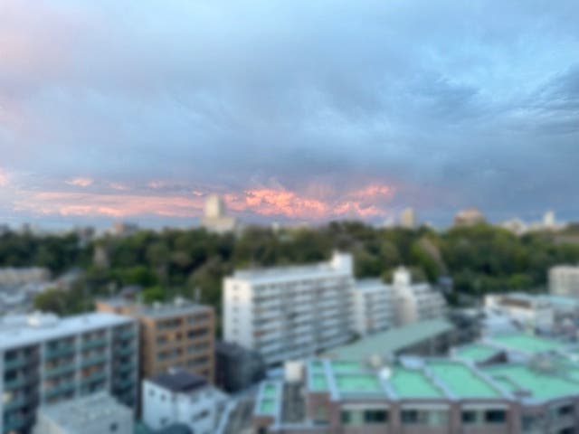 都電荒川線早稲田駅より徒歩2分の屋上スペース（360°の大眺望）の写真7