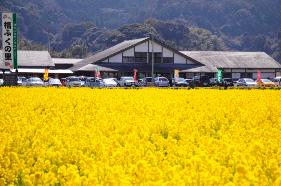 福吉駅から徒歩5分　西九州道吉井インター降りて車で5分の写真20
