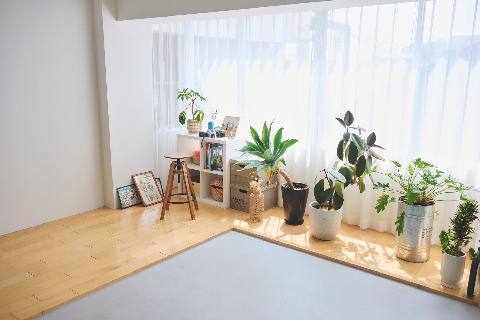 東高円寺駅徒歩1分。東高円寺駅徒歩1分　南向きの窓から一日中綺麗な光が差し込むスタジオ。の写真13