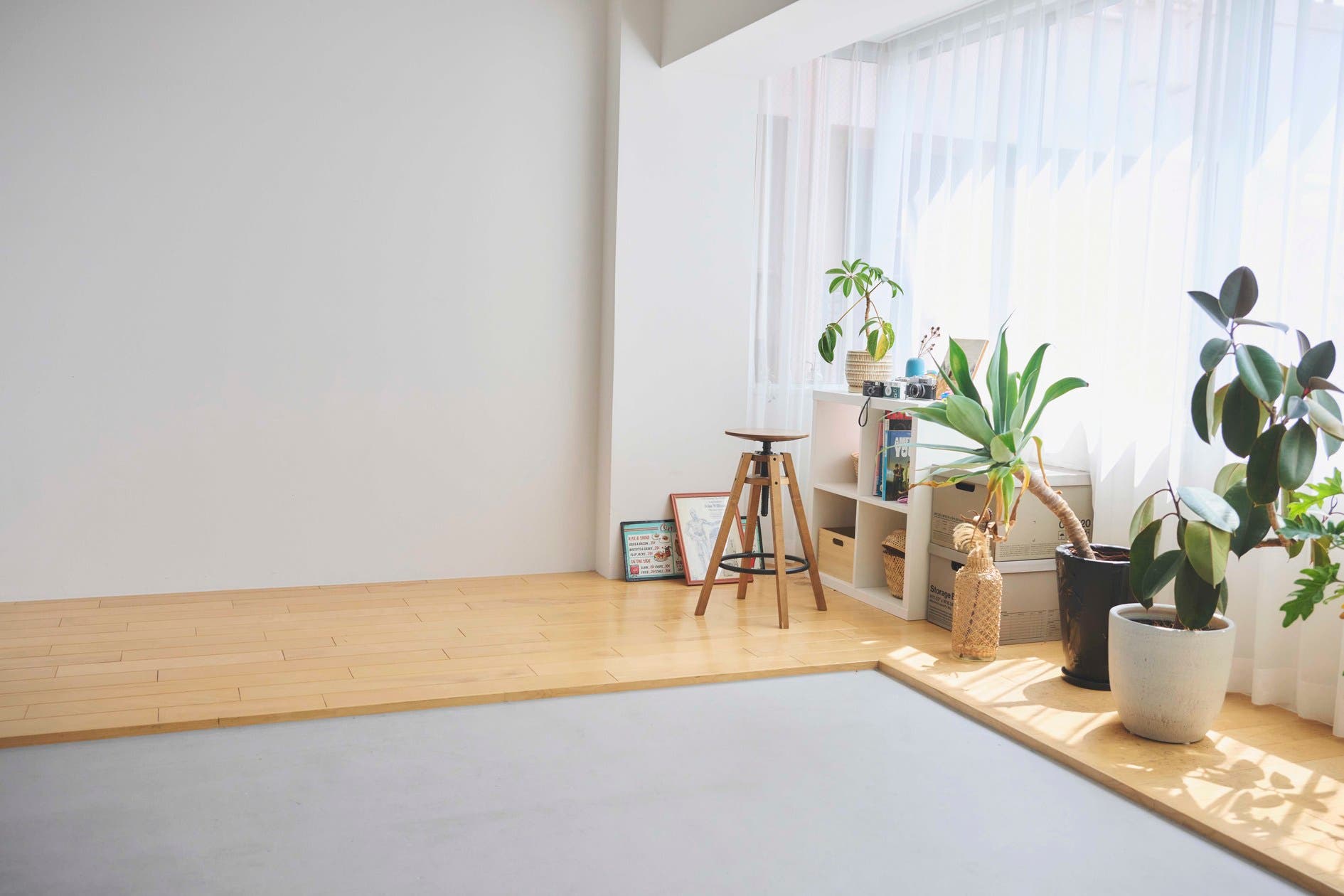 東高円寺駅徒歩1分。東高円寺駅徒歩1分　南向きの窓から一日中綺麗な光が差し込むスタジオ。の写真14