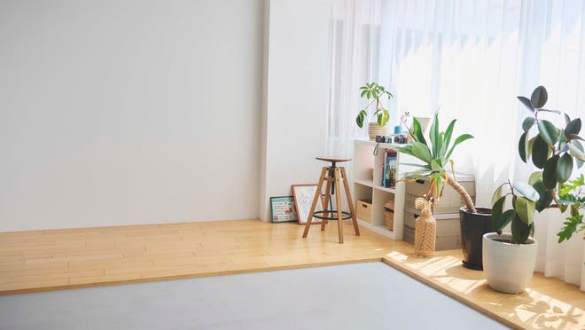 東高円寺駅徒歩1分。東高円寺駅徒歩1分 南向きの窓から一日中綺麗な光が差し込むスタジオ。の写真14