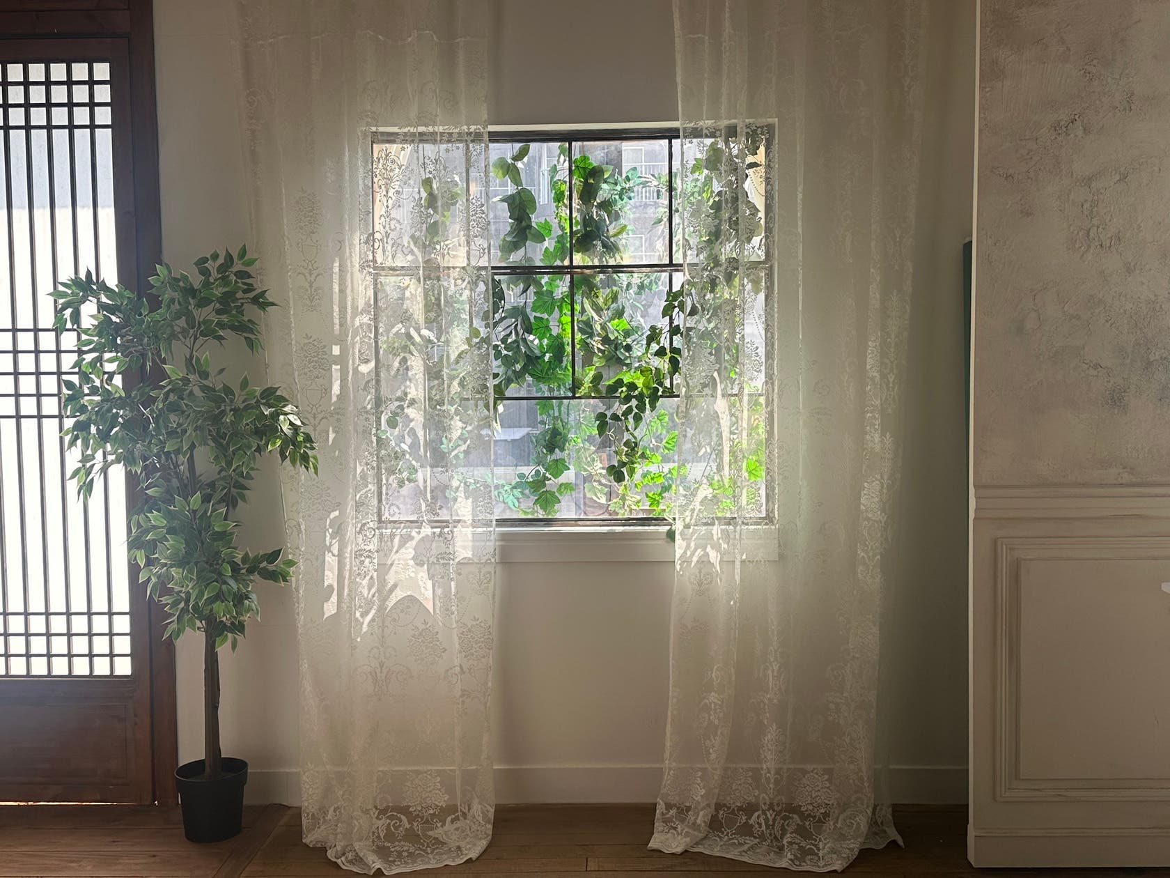 井荻駅徒歩10分【24H営業　プロカメラマン監修　100㎡超え撮影スタジオ】自然光｜天井高3m以上｜フローリングの写真3