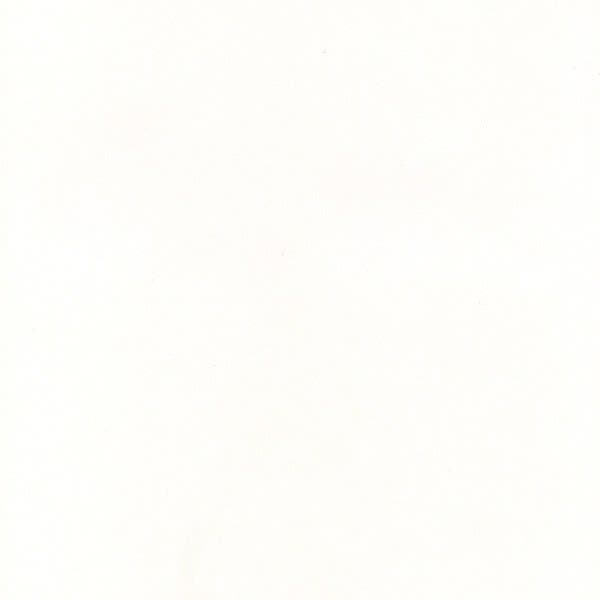 【床引きまで可】背景紙 SETPAPER #08 スーパーホワイトの画像1