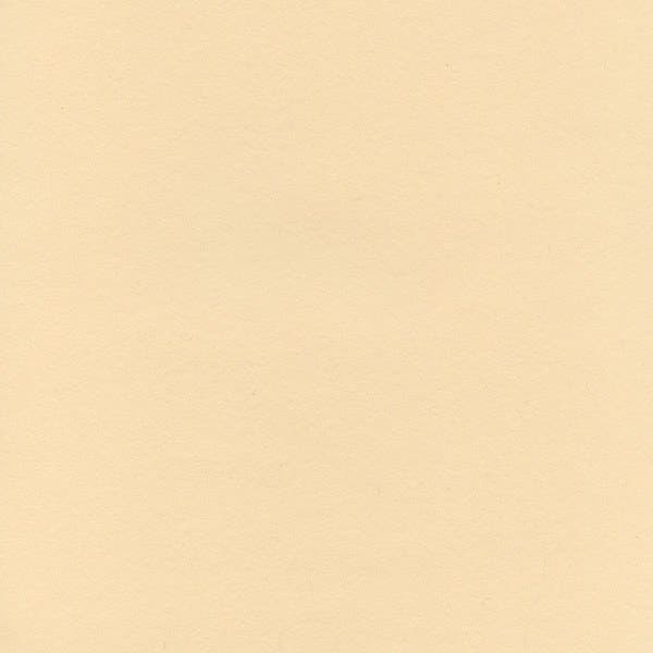 【床引きまで可】背景紙 SETPAPER #16　クリームの画像1