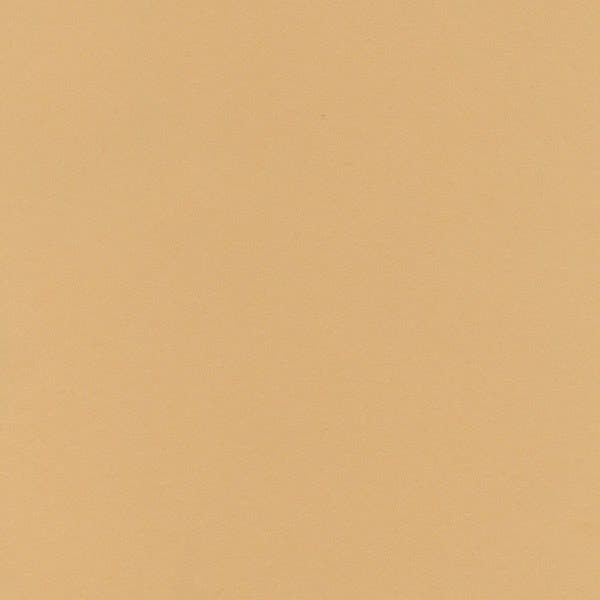 【床引きまで可】背景紙 SETPAPER #15　タンの画像1