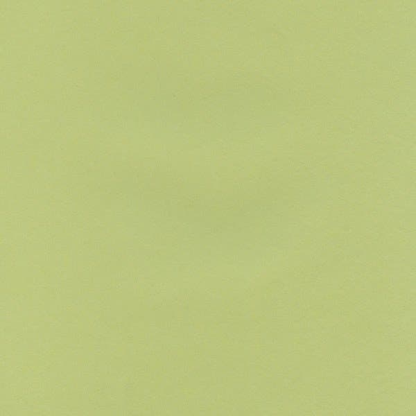 【床引きまで可】背景紙 SETPAPER #11 サニーグリーンの画像1