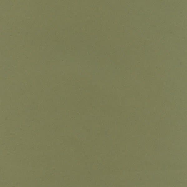 【床引きまで可】背景紙 SETPAPER #30　リーフグリーンの画像1