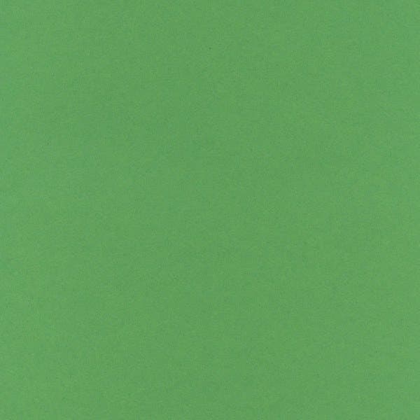 【床引きまで可】背景紙 SETPAPER #28 ブライトグリーンの画像1