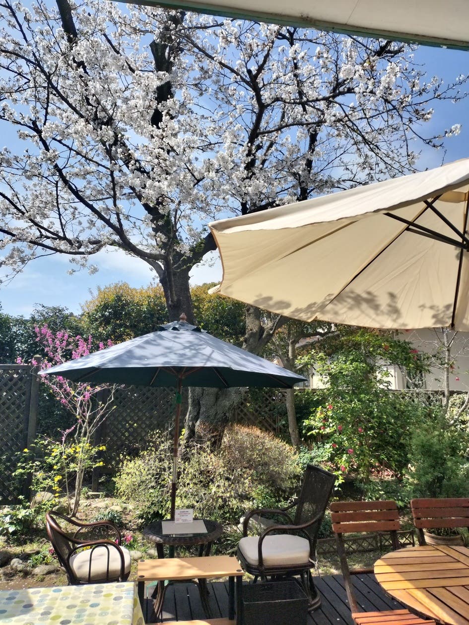 緑豊かな古民家カフェ京成八幡駅から徒歩5分の写真4