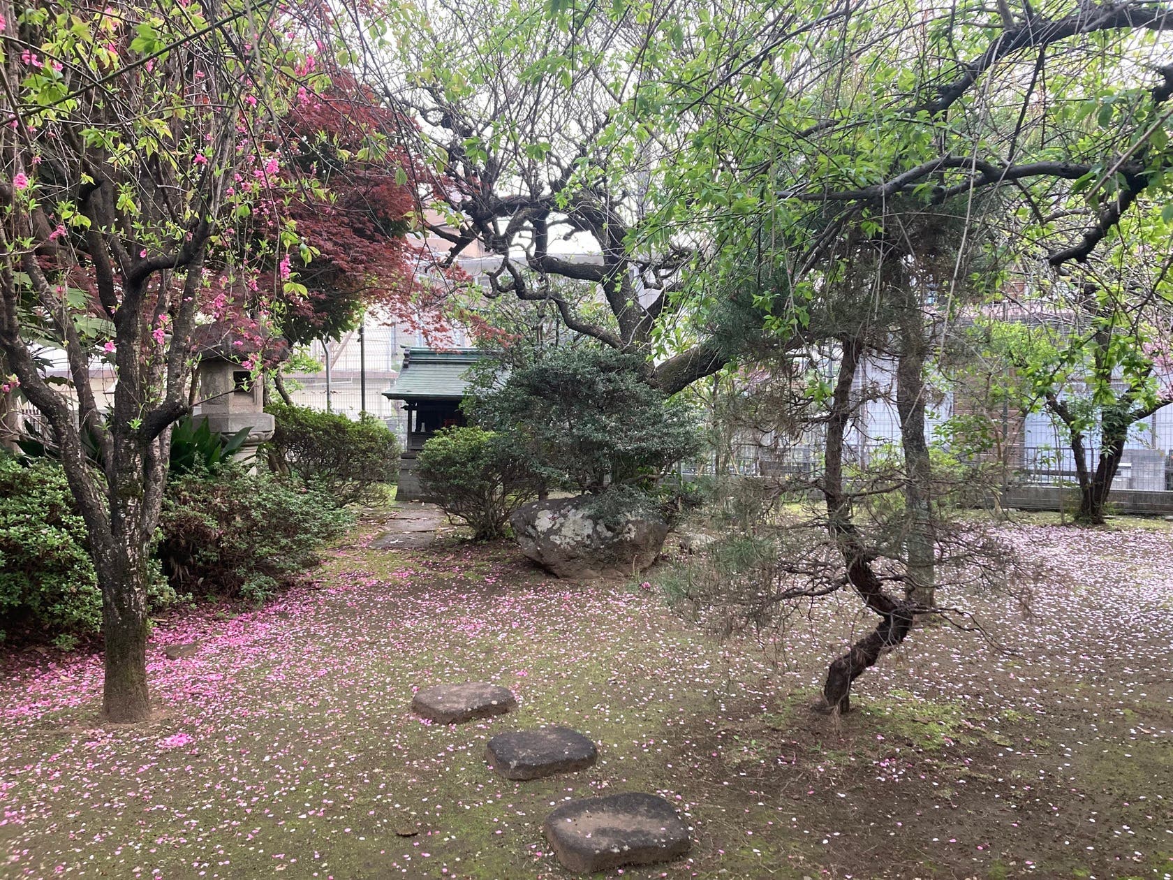 駅から２分　人を繋ぐ古民家リンク府中の写真25