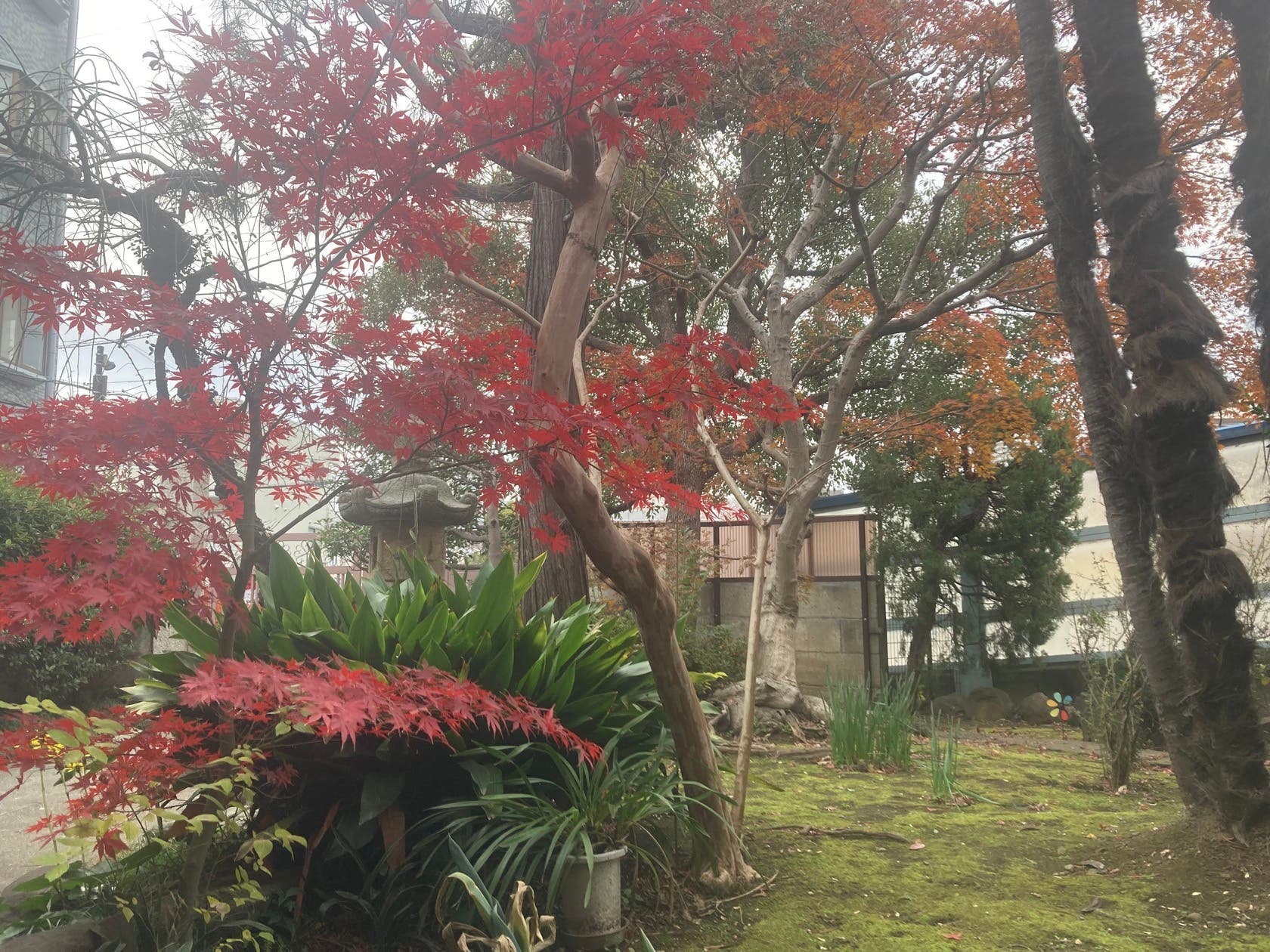 駅から２分　人を繋ぐ古民家リンク府中の写真27