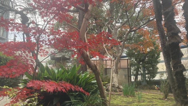 駅から2分 人を繋ぐ古民家リンク府中の写真27