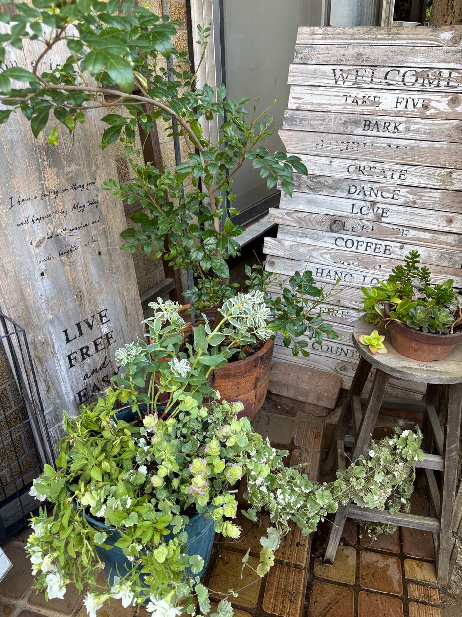 キッチン付きリノベスペース！女子会・誕生日会・ママ会・習い事の利用などに！の写真3