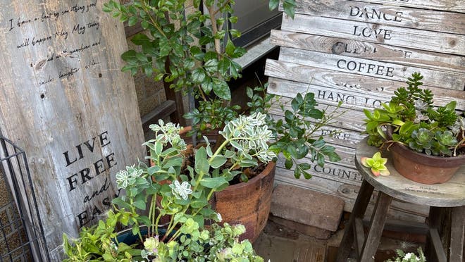 キッチン付きリノベスペース!女子会・誕生日会・ママ会・習い事の利用などに!の写真3