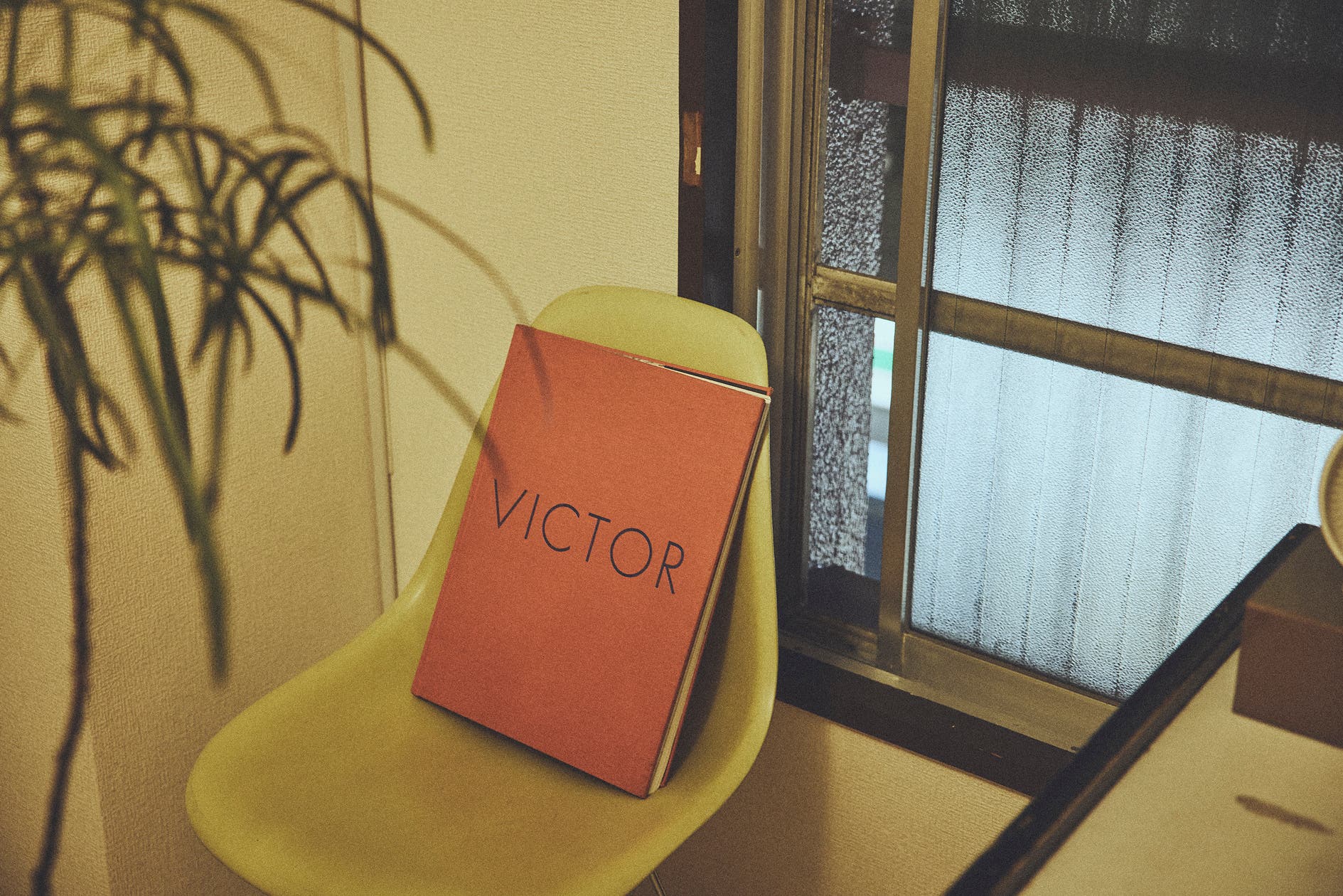 品川区にある一人暮らしい風スタジオの写真6