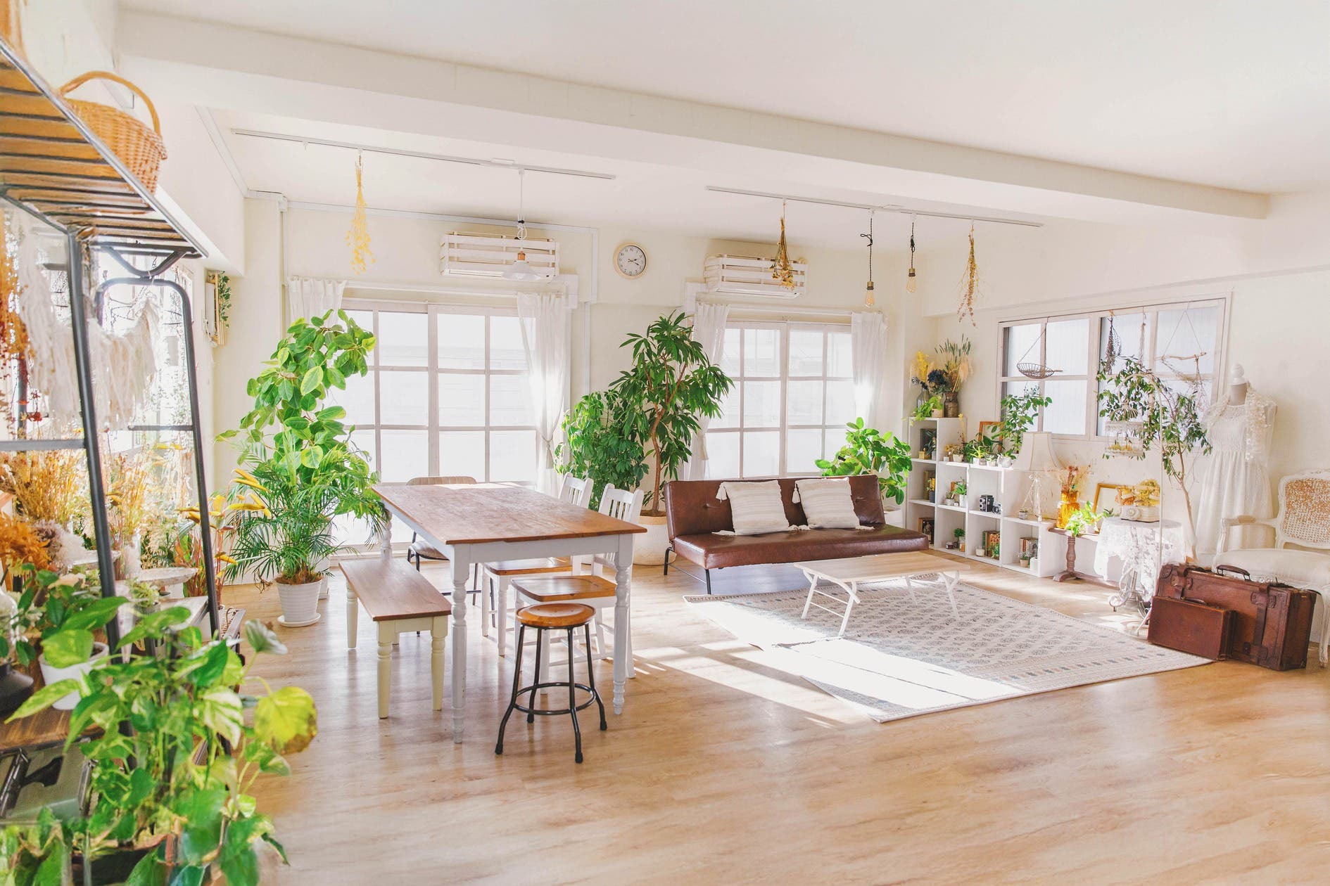 新宿駅近/23畳/3面採光/無料機材豊富✨【SOALA】広い南向の自然光スペース/ロケ撮影・配信/YouTube/コスプレの写真1