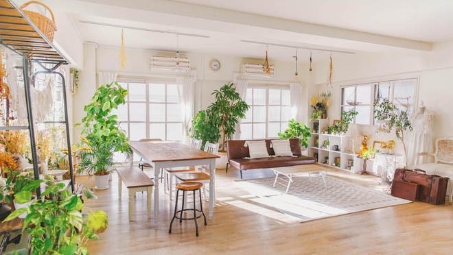 新宿駅近/23畳/3面採光/無料機材豊富✨【SOALA】広い南向の自然光スペース/ロケ撮影・配信/YouTube/コスプレの写真1