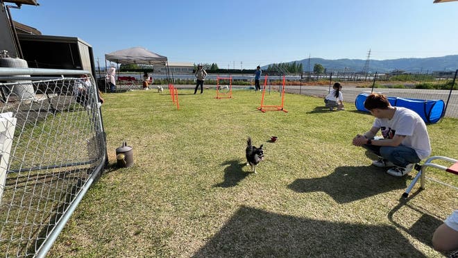 郊外のカフェ&屋外スペース貸切|イベント・パーティー・教室に最適|ドッグラン付の写真3