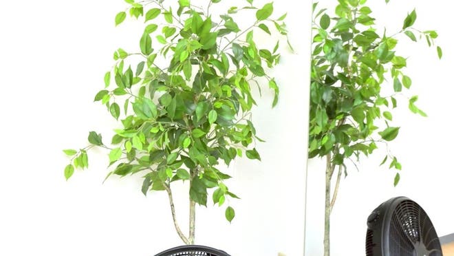 【長居公園すぐ横!鶴ヶ丘駅徒歩10秒!】ダンスやヨガ、楽器演奏や動画撮影などができるスタジオがオープン!の写真17