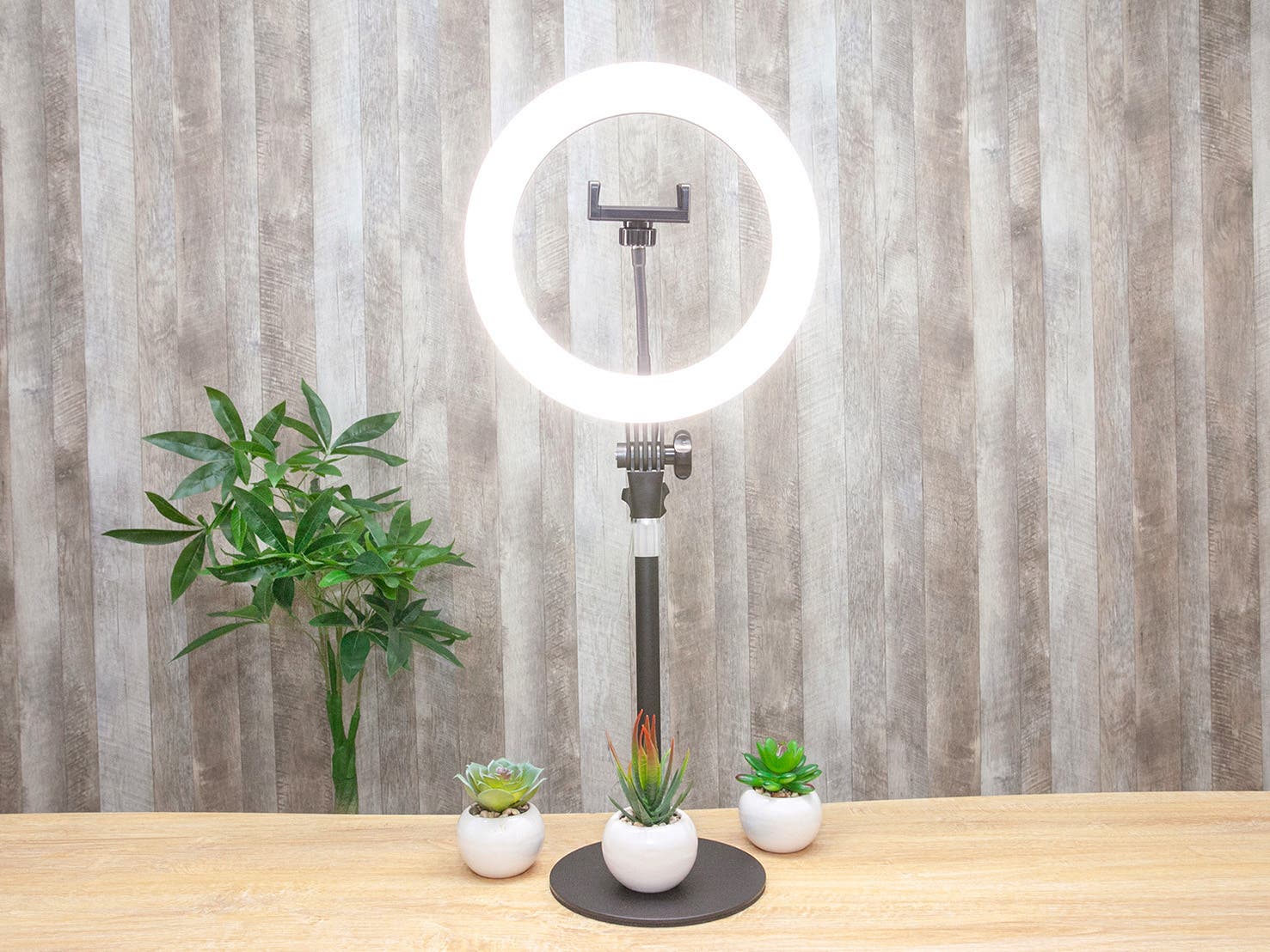 オープン記念価格【BASE柏】柏駅3分/個室/6人/フレッツ光・有線LAN/会議/面接/ボドゲ/ネイル/モニター【安い】【綺麗】の写真12