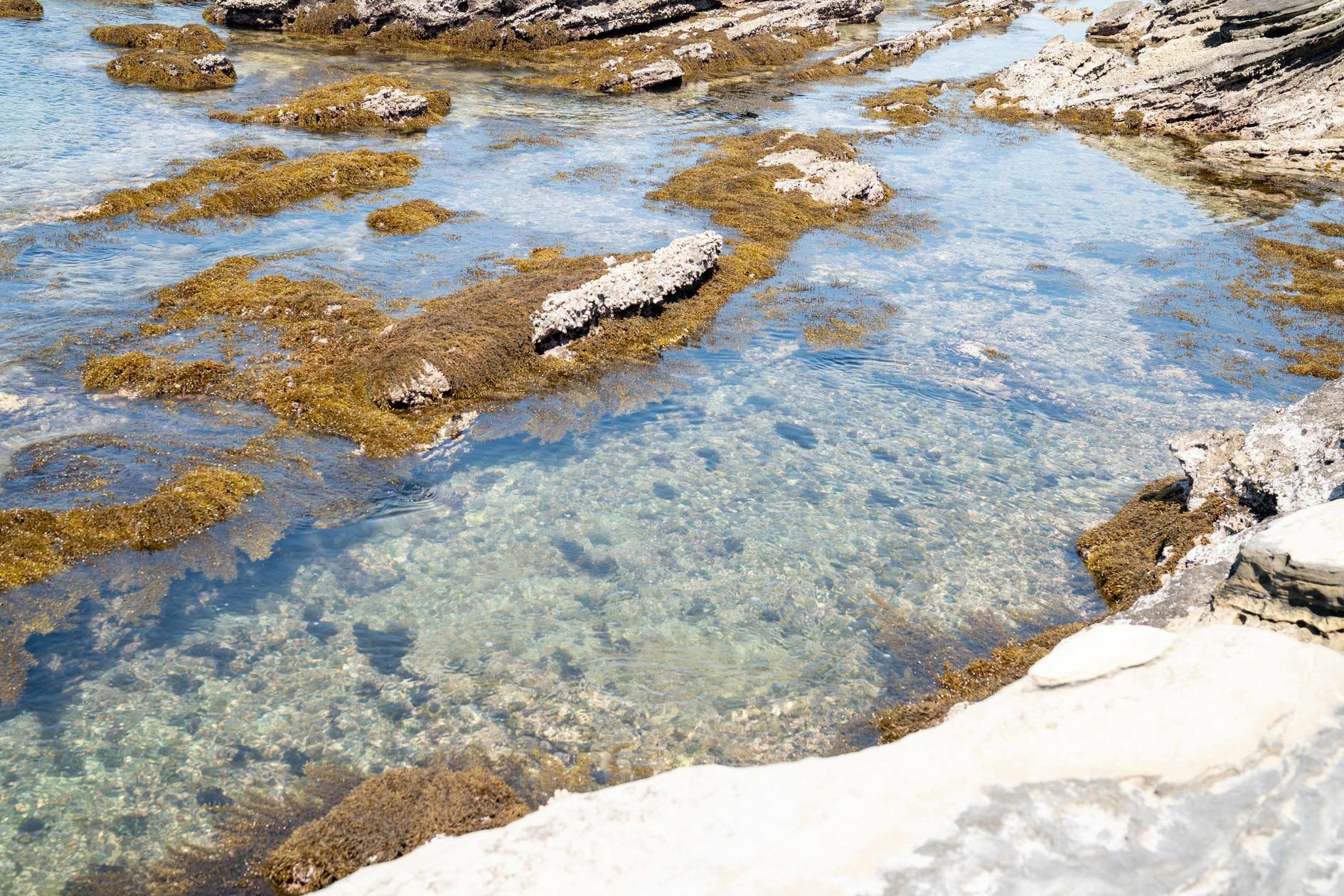 オーシャンビューの絶景別荘の写真16