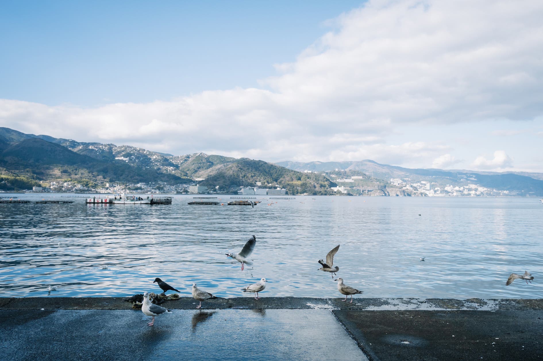 廃校になった小学校を甦らせた複合施設 〜「旧教室」の貸しスペース〜の写真19