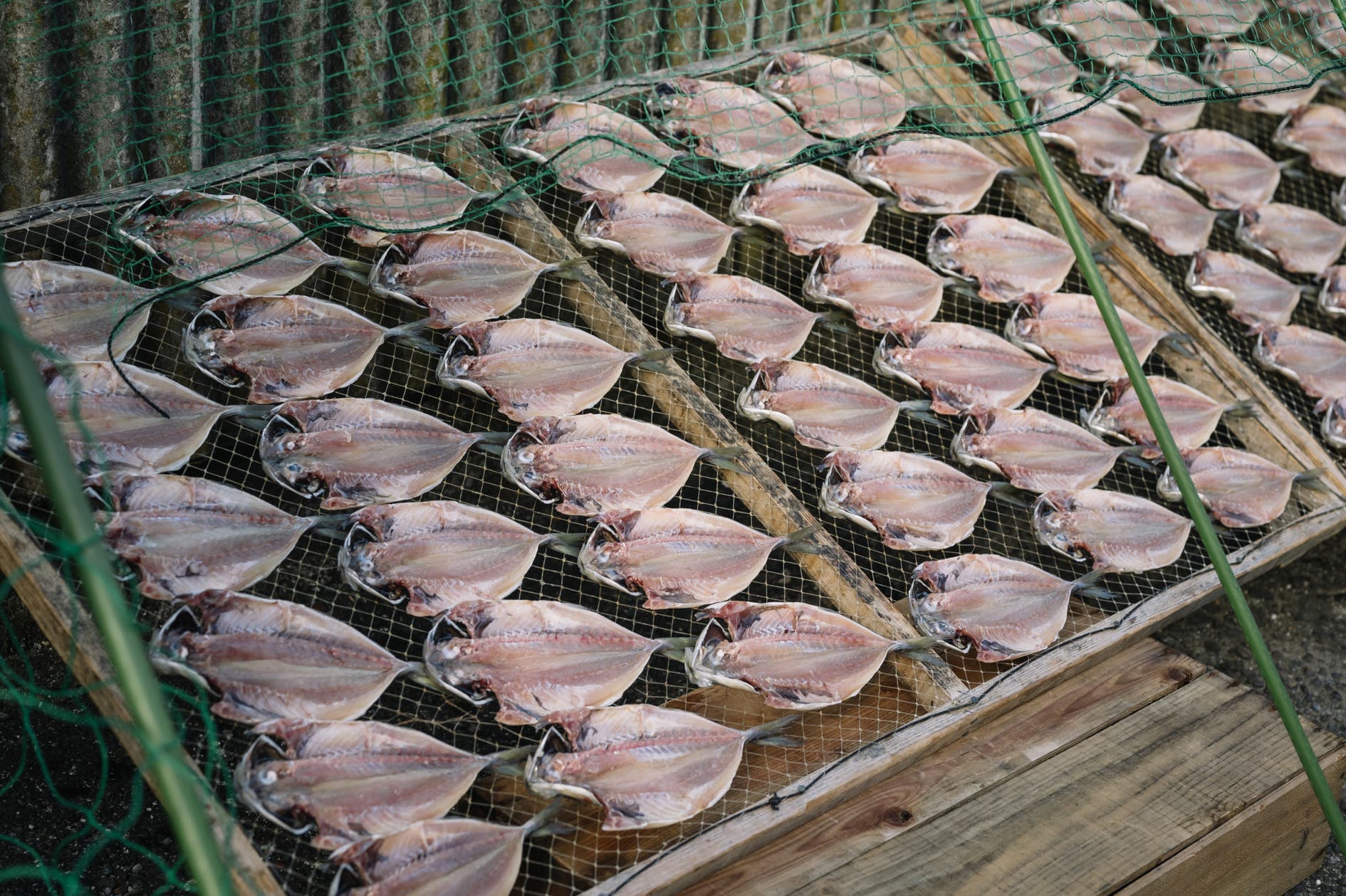 廃校になった小学校を甦らせた複合施設 〜「旧校長室」の貸しスペース〜の写真19