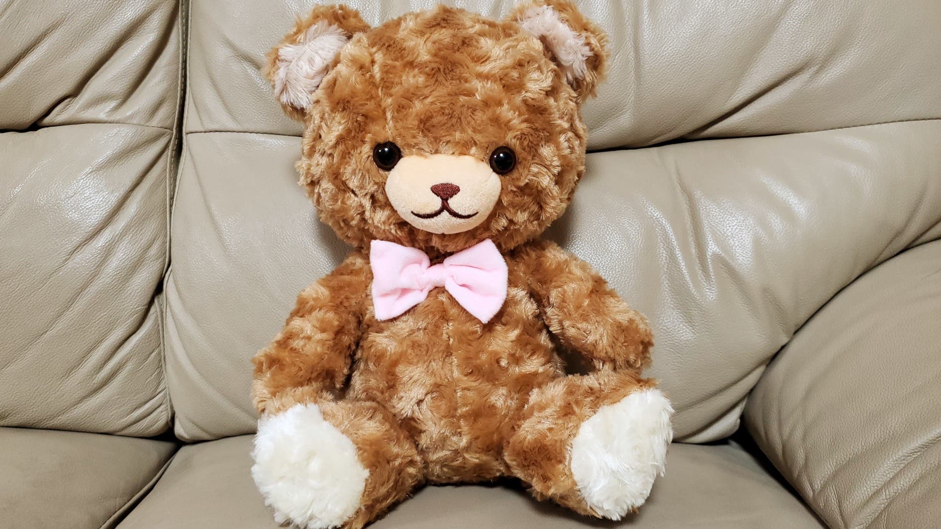 クマのぬいぐるみ(中サイズ)の画像1