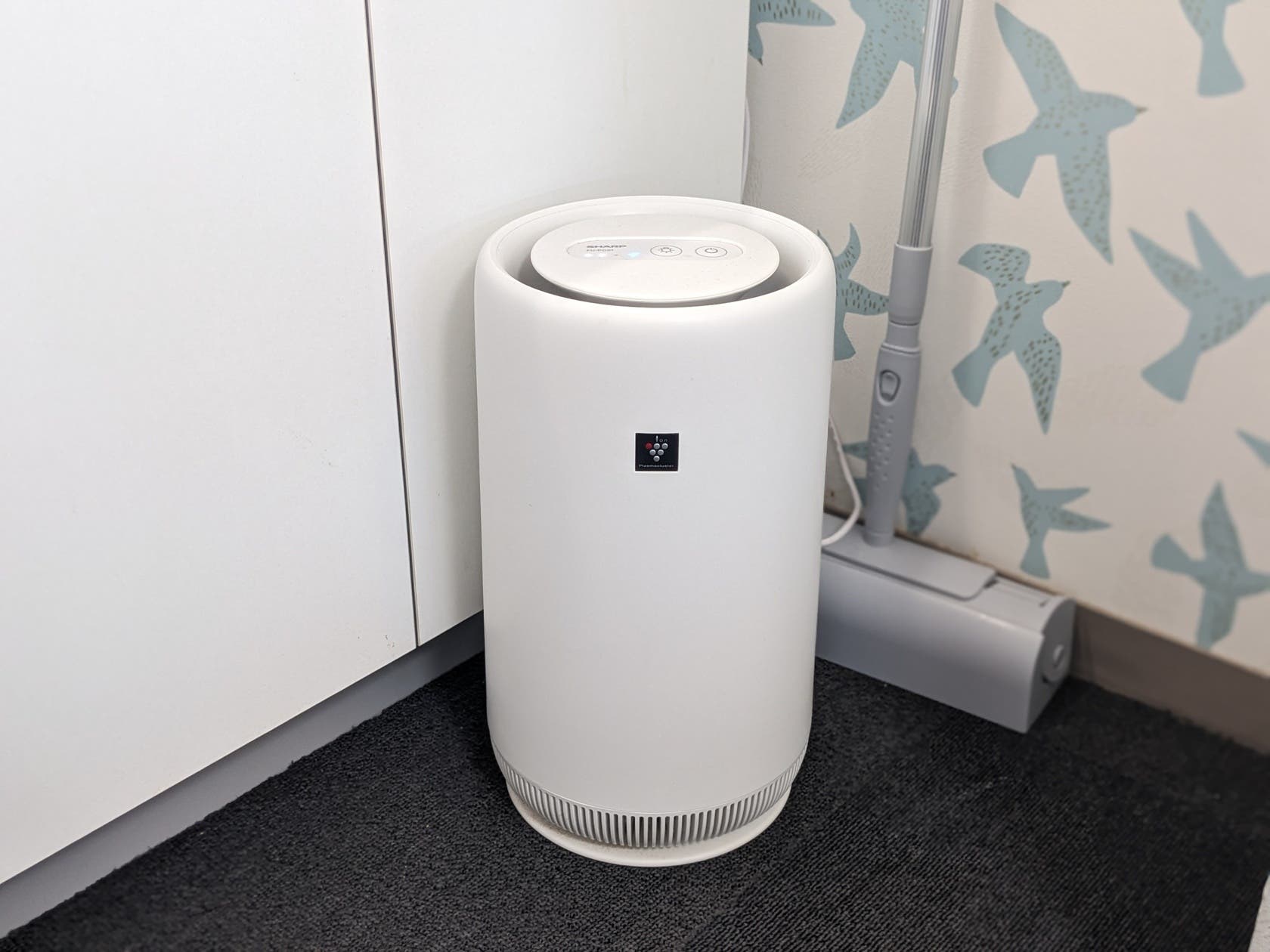 リニューアルキャンペーン中の特別価格です！（2025年11月末まで）の写真12