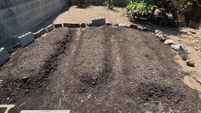 大阪南部/北助松の平屋の写真5