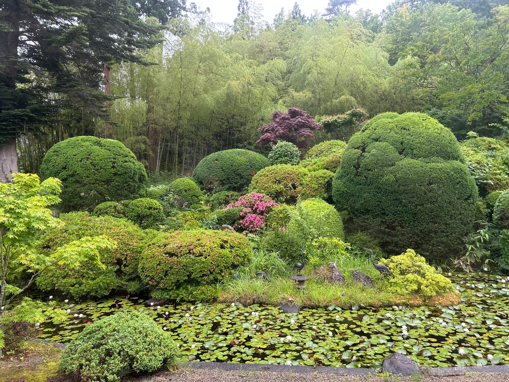 「緑深い寺の庭園、静かな空気が心を満たす特別な場所。歴史と調和した憩いの空間で、ゆったり流れる時間を楽しめます。」の写真2