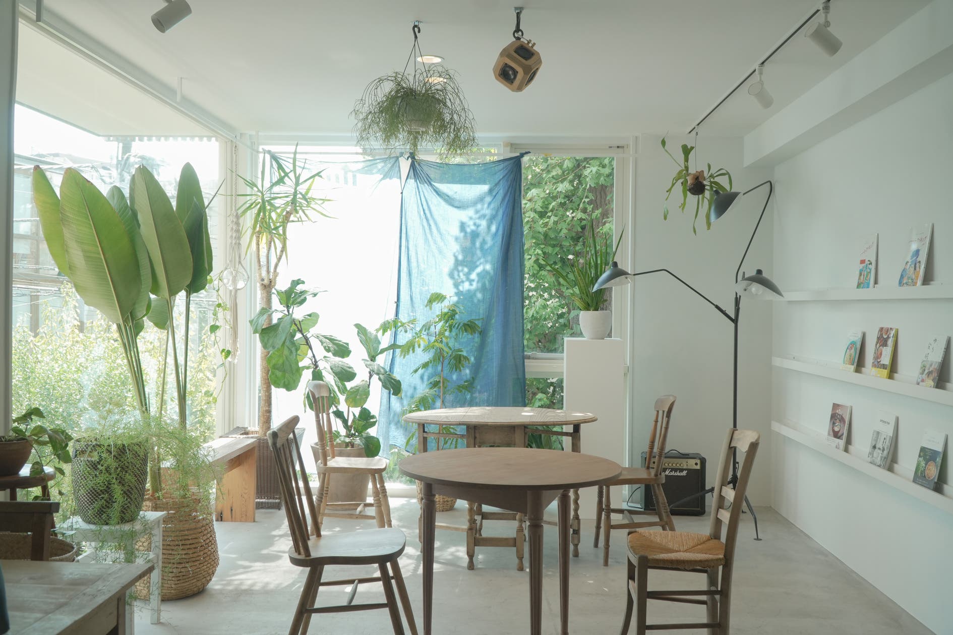 自然光差し込む癒しの空間の写真1